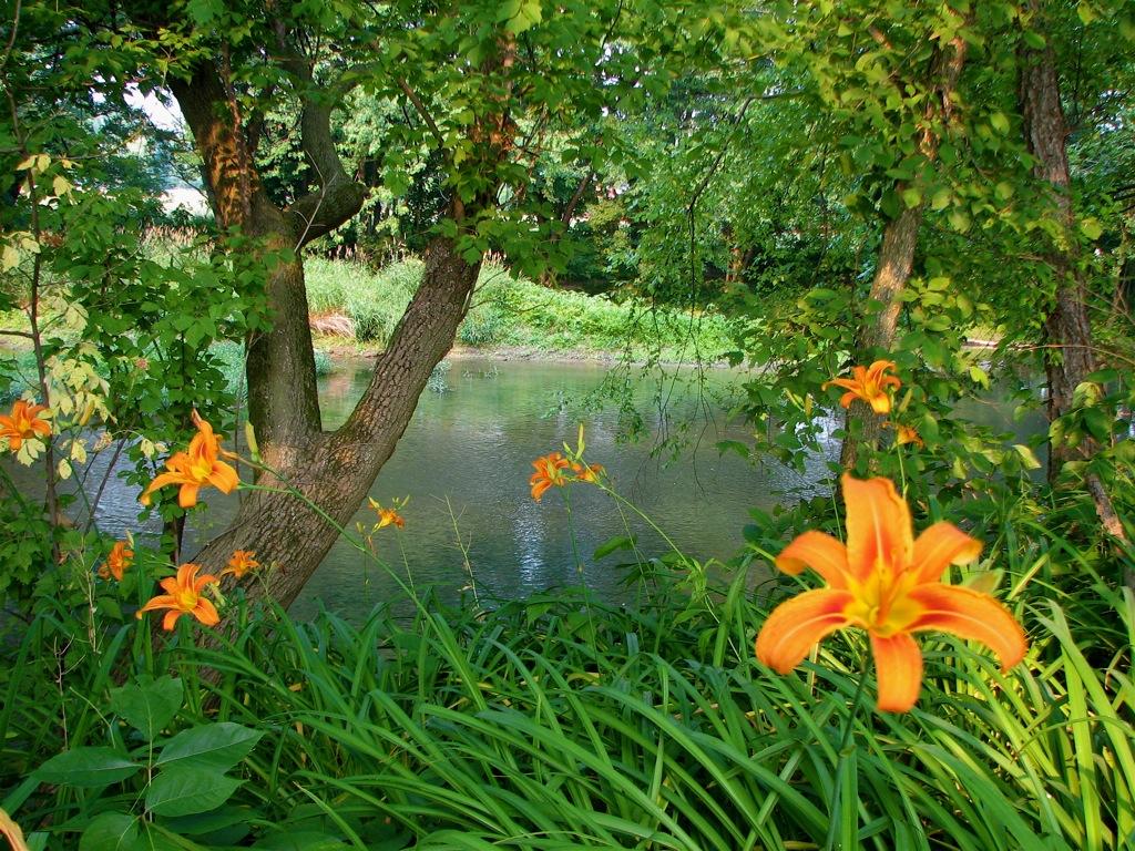 Emile Coue Method for Affirmations - Gloria Marie Pierson